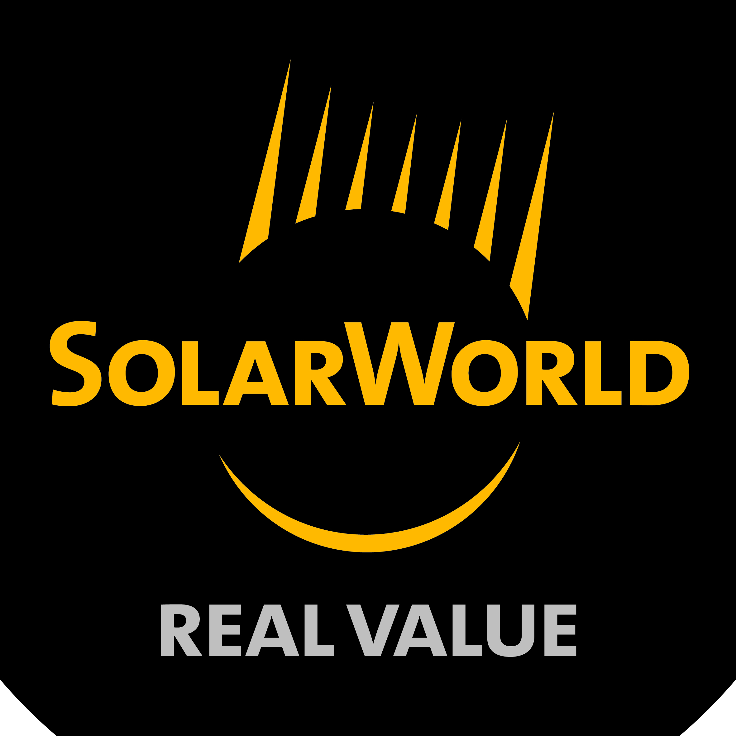 SolarWorld AG drives focusing on high power technology in 2017 ...