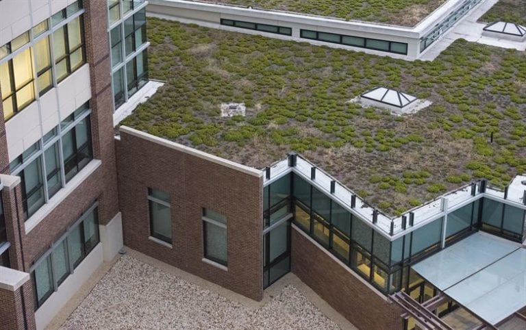 I tetti verdi che rinfrescano case e città: costi vantaggi e cose da ...